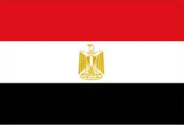 Nile Union Academy volunteers evacuated ahead of protest marches ...