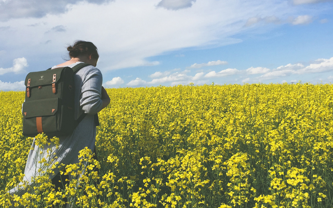 In Inter-America, Church to Train Adventist Young People for ...