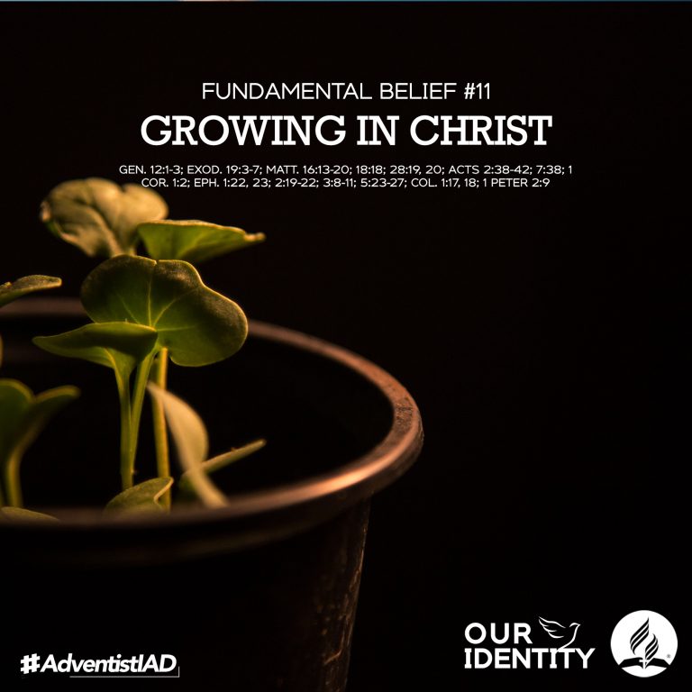 28 Fundamental Beliefs of the Seventh-day Adventists - Seventh-day ...