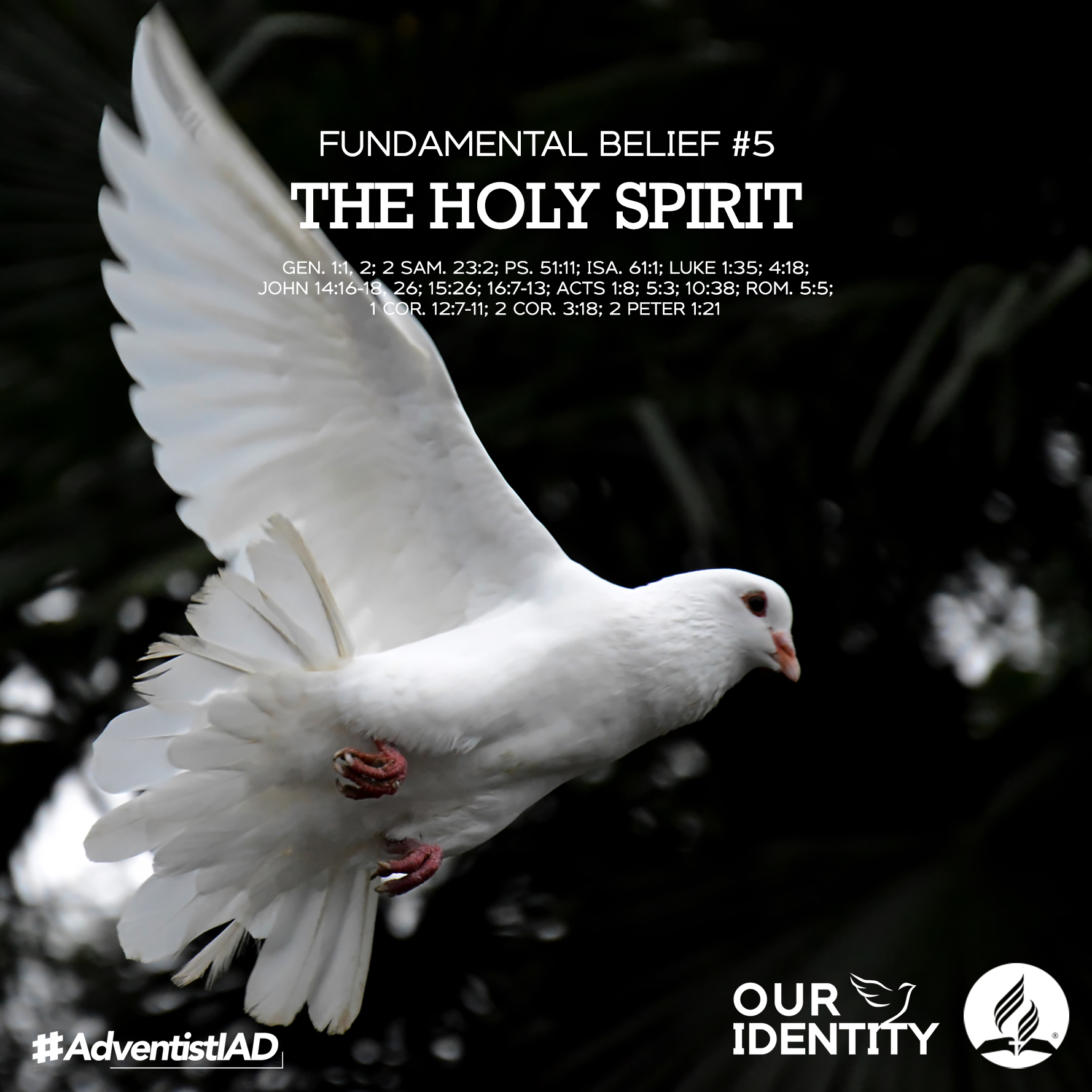 28 Fundamental Beliefs of the Seventh-day Adventists - Seventh-day ...