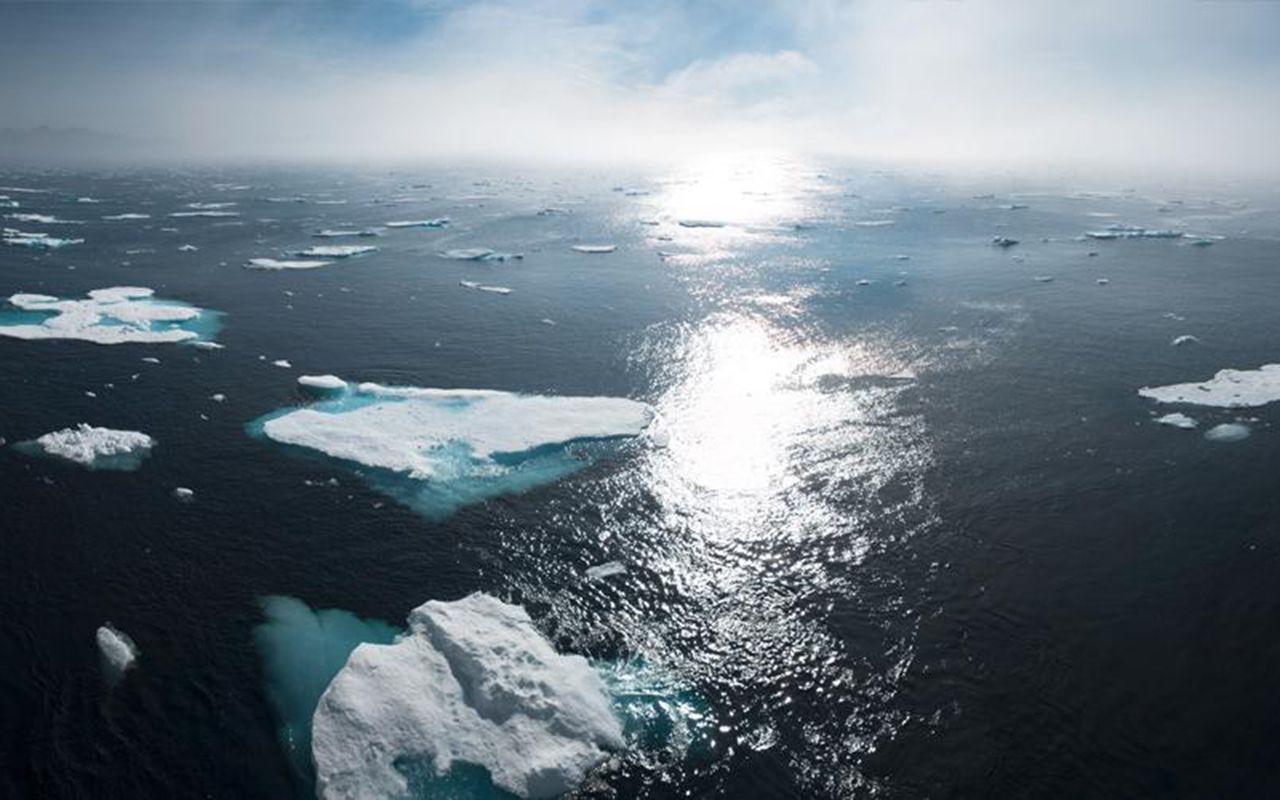 Lower Meat Consumption a Key to Fighting Global Warming, Study Says ...