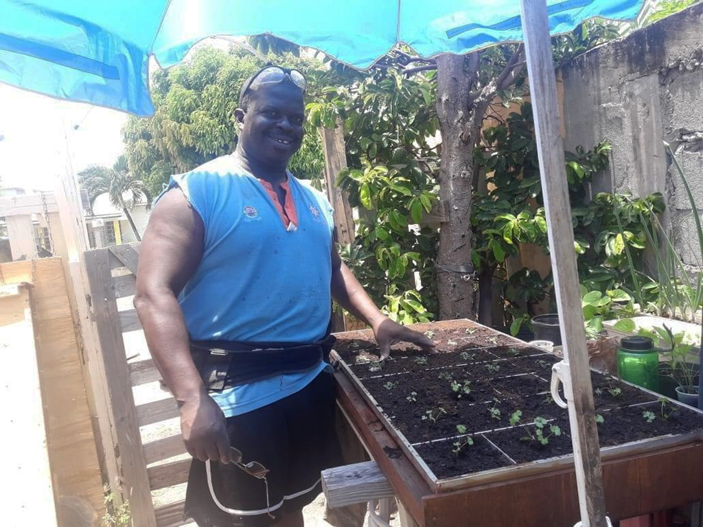 In St. Maarten, Vegetable Garden Ministry During Pandemic Generates ...