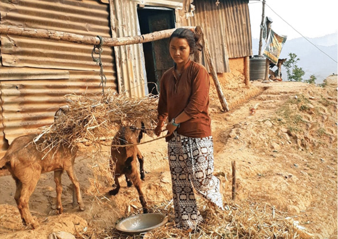 Five New Goats: Surviving to Thriving in Nepal - Seventh-day Adventist ...