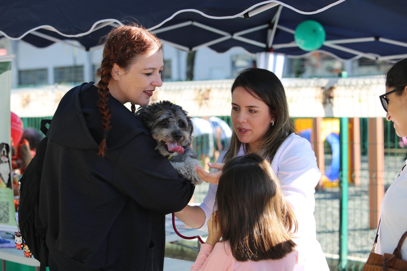 In Brazil, Adventist School Students Donate Pet Food to NGOs - Seventh ...
