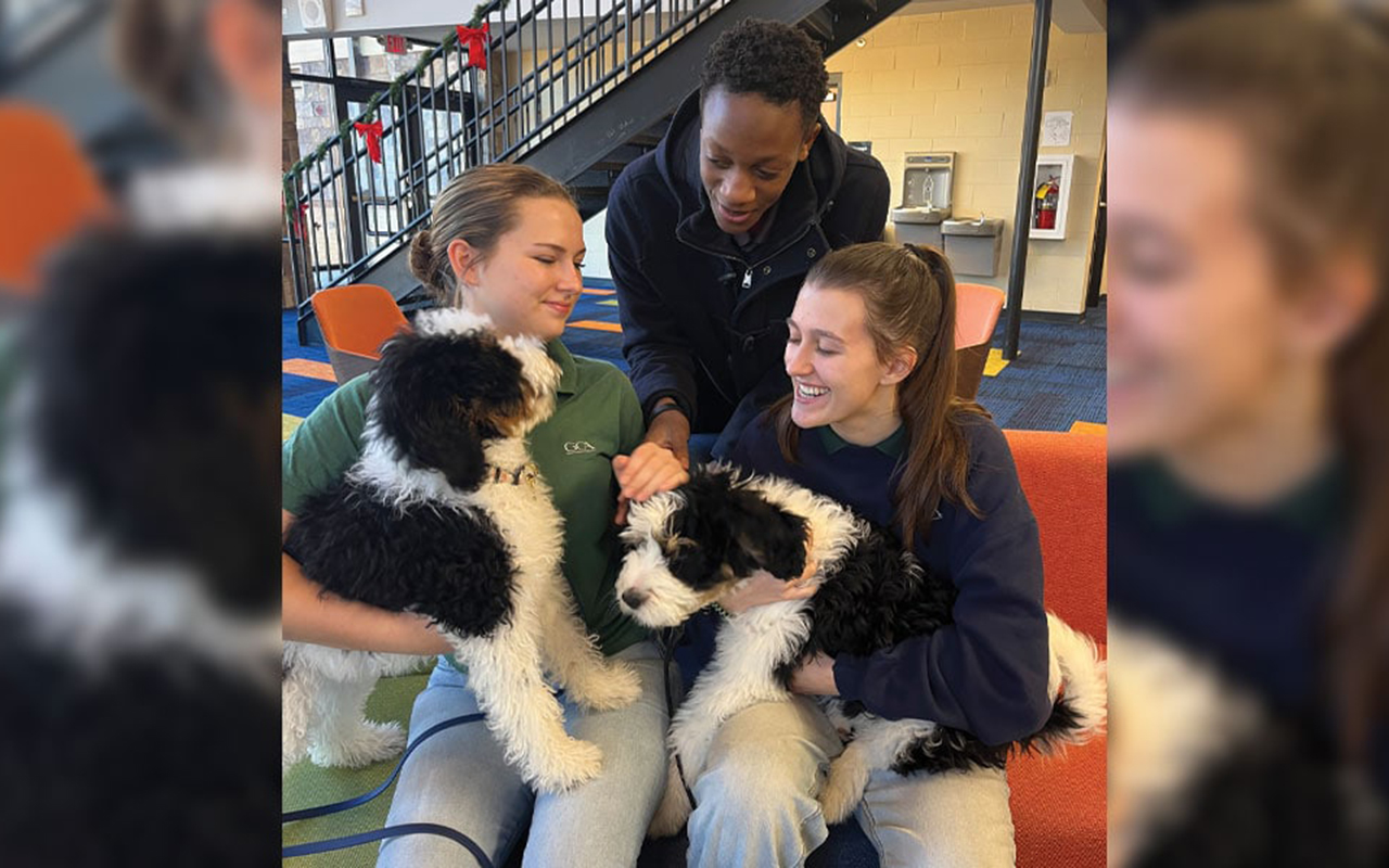 Therapy Dogs Join U.S. School in Ministering to Students - Seventh-day ...