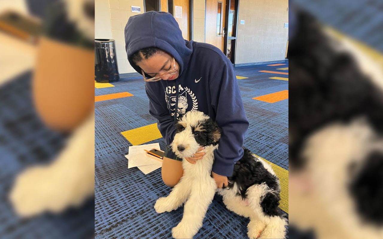Therapy Dogs Join U.S. School in Ministering to Students - Seventh-day ...