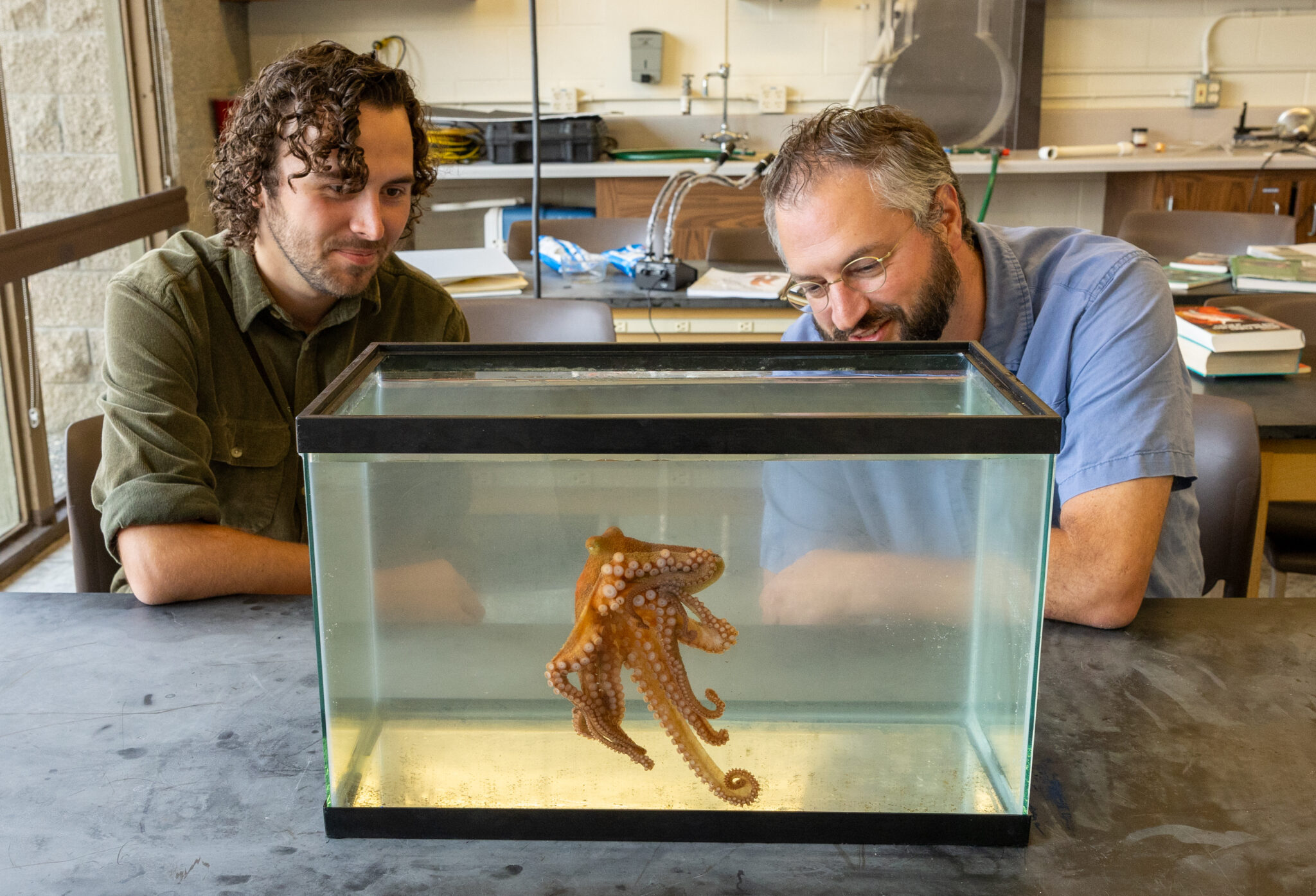 WWU Octopus Research Featured in Prominent Science Publications ...