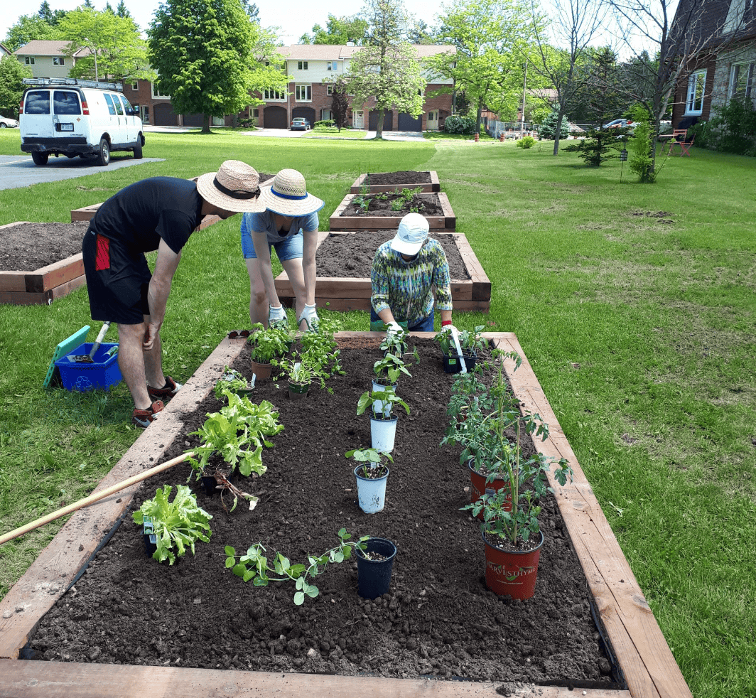 ADRA Preserves God’s Creation Through Community Gardens, Reforestation - Seventh-day Adventist ...